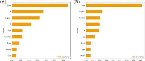 the importance score of predictor variables in predicting 5 year bcss