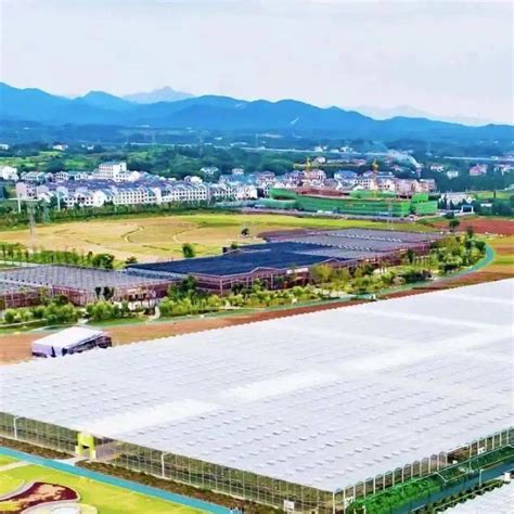 广信区云谷田园生态小镇迎客 农旅融合助推乡村振兴 江西省 发展 项目