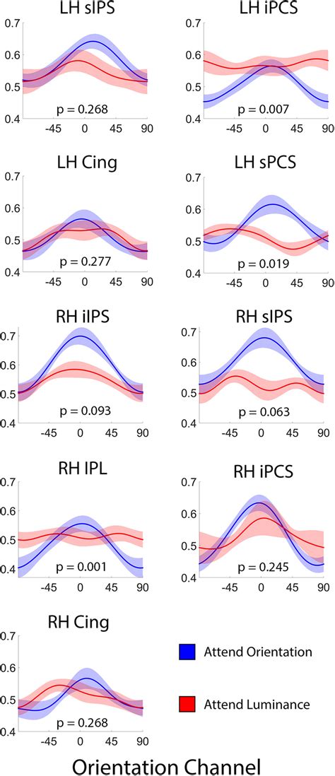 Reconstructed Representations Of Orientation In Frontoparietal Cortex Download Scientific