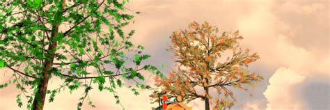 Artstation Ting Wen Chiang