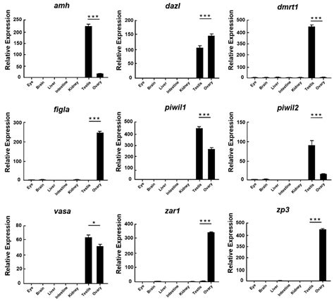 Integrated Mrna And Mirna Expression Profile Analysis Of Female And Male Gonads In