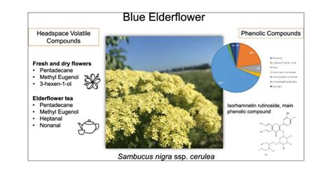 Katie U On Linkedin Headspace Volatile Organic And Phenolic Compounds