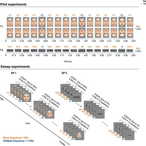 pilot experiments frequency spectrum at the summed oddball frequency
