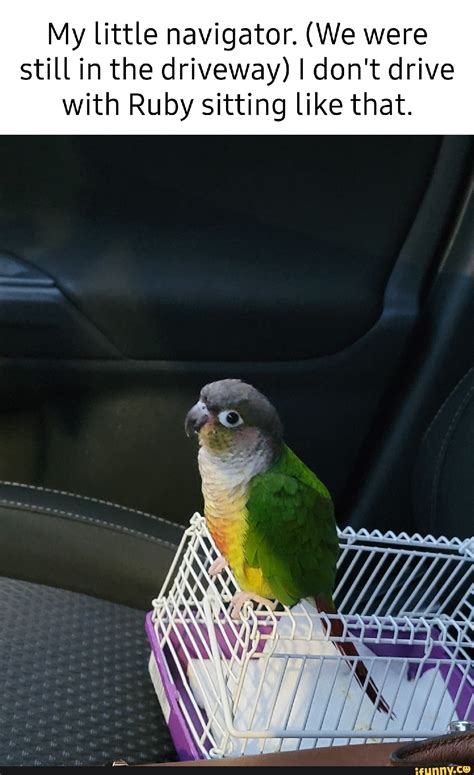 My Little Navigator We Were Still In The Driveway I Dont Drive With