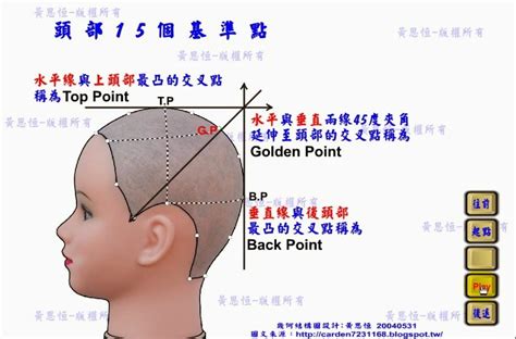 Blogger 黃思恒數位化美髮資訊平台 剪髮設計~認識頭部15個基準點數位構圖及動畫互動程式影片 美 影 幾何