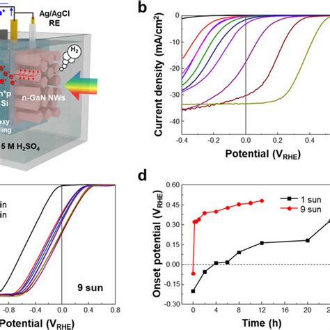 Photocathodes Evaluated In A Three Electrode Configuration A