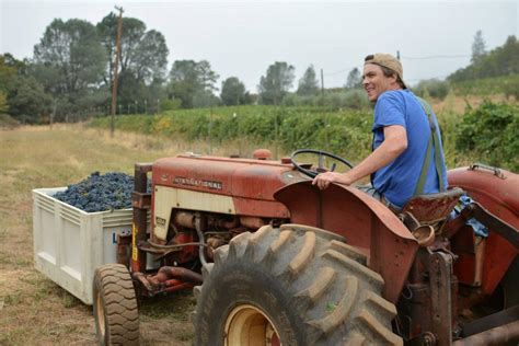 Hidden Spring Winery Wine Of The Month Honeyberry On Sale For 9 95
