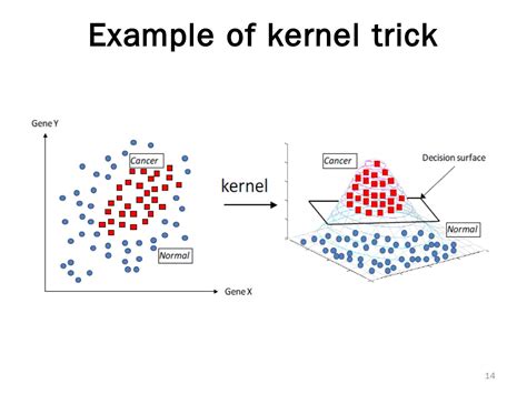 Support Vector Machines