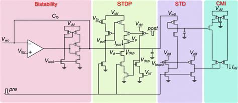 exploring neuromorphic computing based on spiking neural networks algorithms to hardware acm