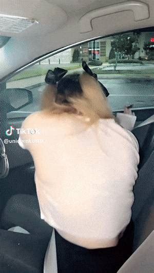 Nonstoparthropods Spandexyoga Pantsleggings