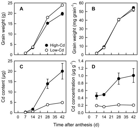 Grain Development And Accumulation Of Cadmium In Grain Of Durum Wheat Download Scientific