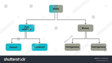 Classification Groups Organisation Over 65 Royalty Free Licensable