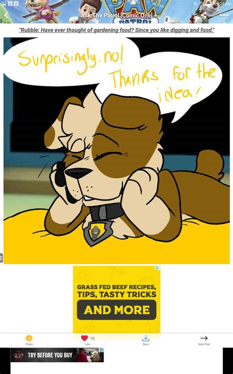 Paw Patrol Answer Questions 11 Rubble Gardening By Ghostbedsheet On