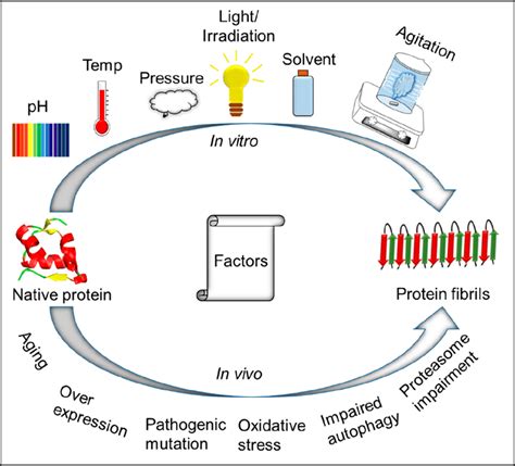 Major Factors Affecting The Protein Aggregation Pathway Download