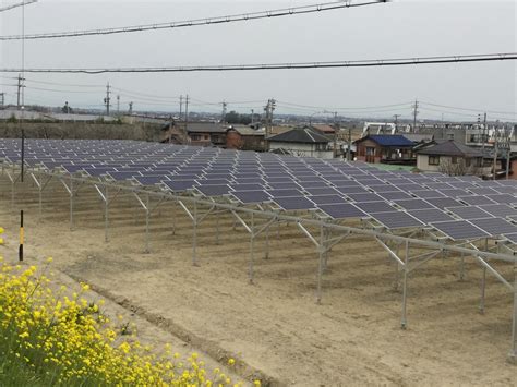 ブルーベリー農園を目指した営農型太陽光発電／ソーラーシェアリングが間もなく完成します 営農型太陽光情報提供システムcom