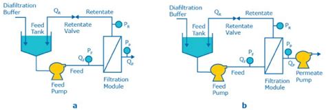 Scalable Tangential Flow Filtration Tff For Downstream Processing Of Viral Vectors For Gene