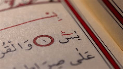 5 Rahasia Kalimat Kun Fayakun Dalam Surat Yasin Schmu News