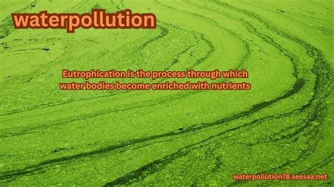 Eutrophication Causes Effects The Ripple Effect