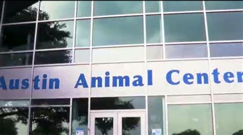 Austin Animal Centers New ‘urgent Placement List For Dogs Now
