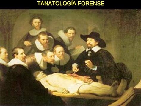 Historia De La Tanatologia Forense La Primera Autopsia Documentada Fue