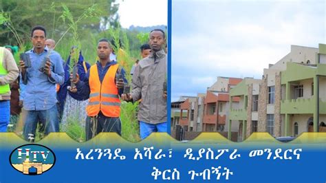 አረንጓዴ አሻራ፣ ዲያስፖራ መንደርና ቅርስ ጉብኝት Youtube