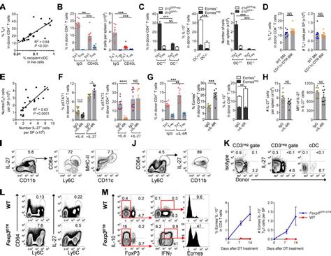 Eomesodermin Promotes The Development Of Type 1 Regulatory T Tr1