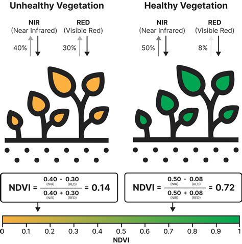 Python Gdal Library A Comprehensive Guide For Geospatial Data Manipulation And Analysis By