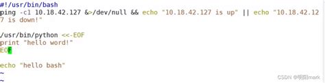 Shell Echo Eof Csdn
