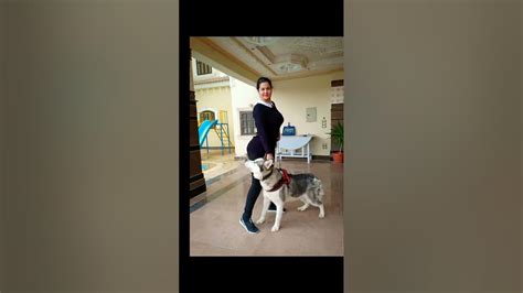 سما المصري مع البوبي وتعلق في كلاب في حياتنا اوفي كتير من بني الادمين Youtube