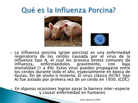 Ppt Influenza Porcina Powerpoint Presentation Free Download Id4510026