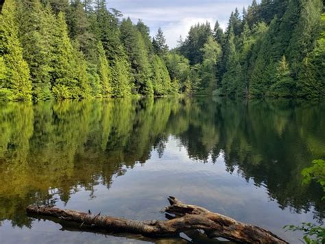 Parks Larrabee State Park 192 Photos And 52 Reviews 245 Chuckanut
