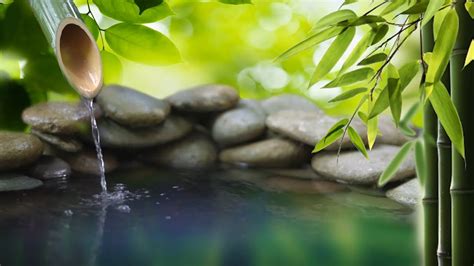 Bamboo Water Fountain 🎵 Relaxing Music Background Music Meditation