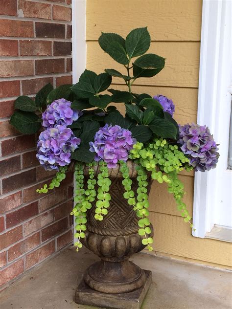 26 Ways To Grow Hydrangeas In Containers Artofit