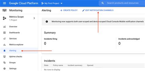 Gcp Harpia Documentation