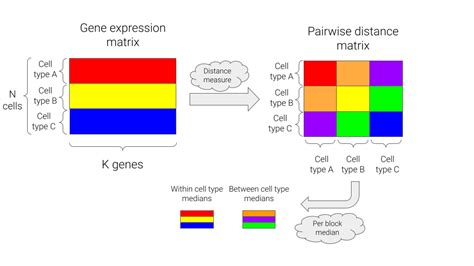 Examining Assumptions In ScRNA Seq Foundation Model Pre Training 6