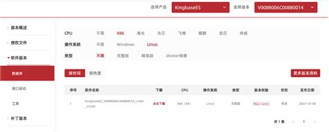 人大金仓kingbase数据库安装金仓安装授权文件下载 Csdn博客