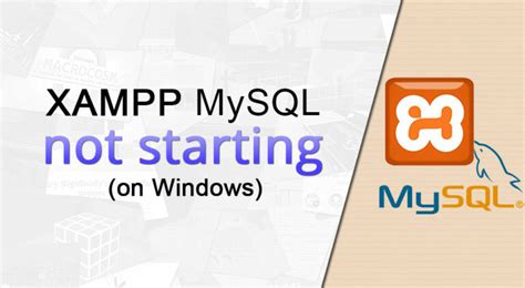 XAMPP MySQL Not Starting On Windows Terresquall Blog