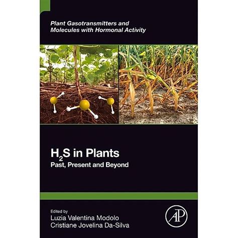 H2s In Plants Past Present And Beyond Cristiane Jovelina Da Silva Posted On The Topic Linkedin