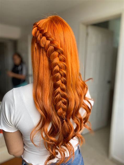 Peinado Con Trenza Holandesa Peinados Con Trenzas Holandesas