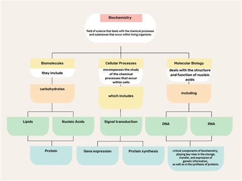 Biochemistry Concept Map Pdf