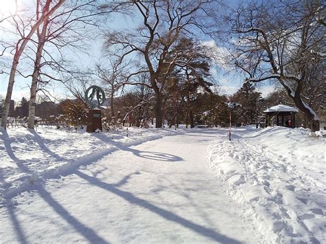 札幌中心部で雪景色と雪遊びを楽しむなら中島公園へ無料でソリやスキーレンタルも