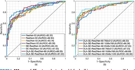 Figure 1 From Multi Scale Convolutional Neural Networks For Classification Of Digital Mammograms