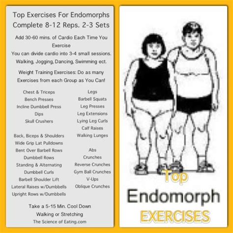 Pin By R M On Fitness Body Type Workout Endomorph Body Type Endomorph