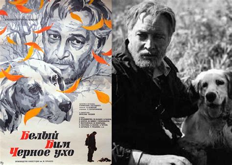 Фильм «Белый Бим Черное ухо» (1976) - сюжет, актеры и роли, кадры из фильма