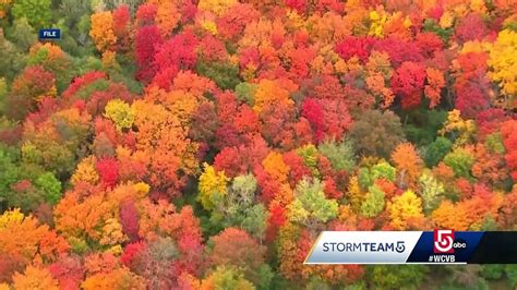 Ucla New England Fall Colors Leaf Peepers Are Flocking To See New