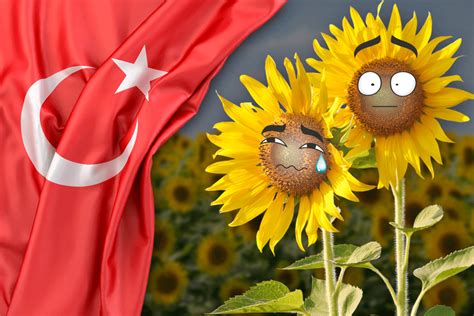 Вільна торгівля між Україною і Туреччиною Чого чекати —