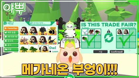 드디어 메가네온 부엉이 만드나 [로블록스 Roblox][입양하세요 Adopt Me] Youtube