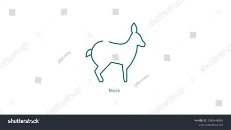 Sensual Musk Warm Perfume Notes Vector Stock Vector Royalty Free