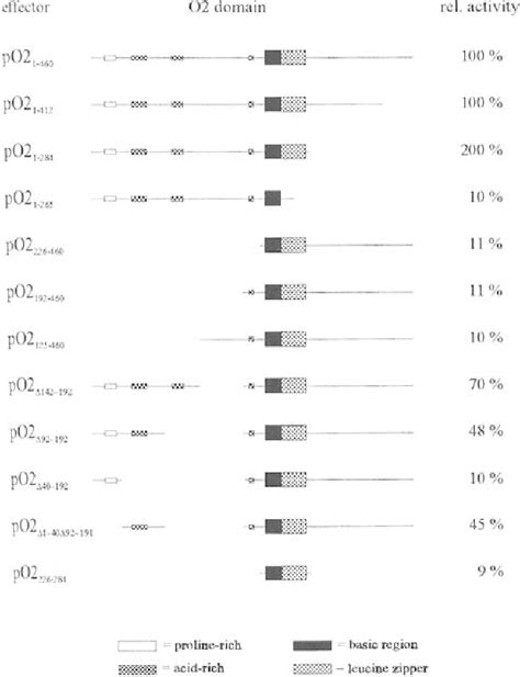 Figure From The Activation Domain Of The Maize Transcription Factor Opaque Resides In A