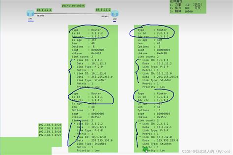 Ospf基础ospf入门实例 Csdn博客